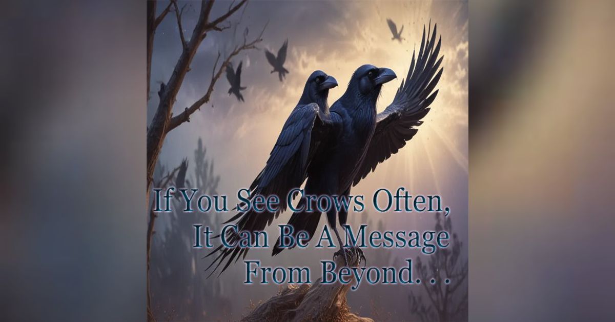 Spiritual Meaning Of Seeing Crows | Divine Oracle Podcast