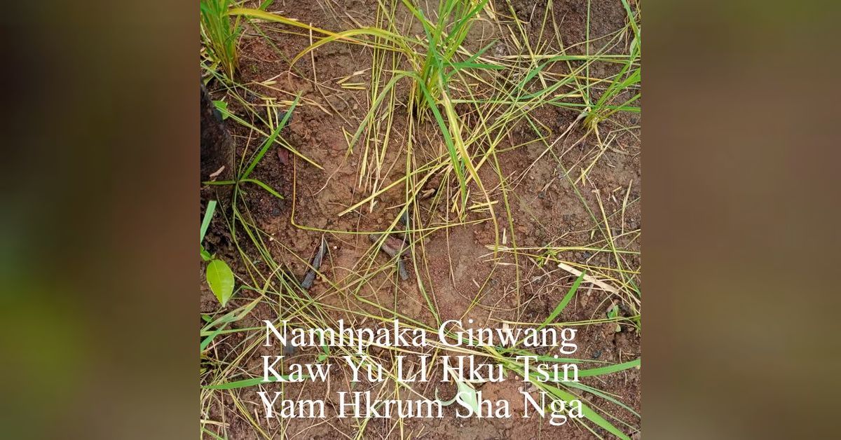 18 August 2024 Laiza TV Buga Shiga | LAIZA TV PODCAST