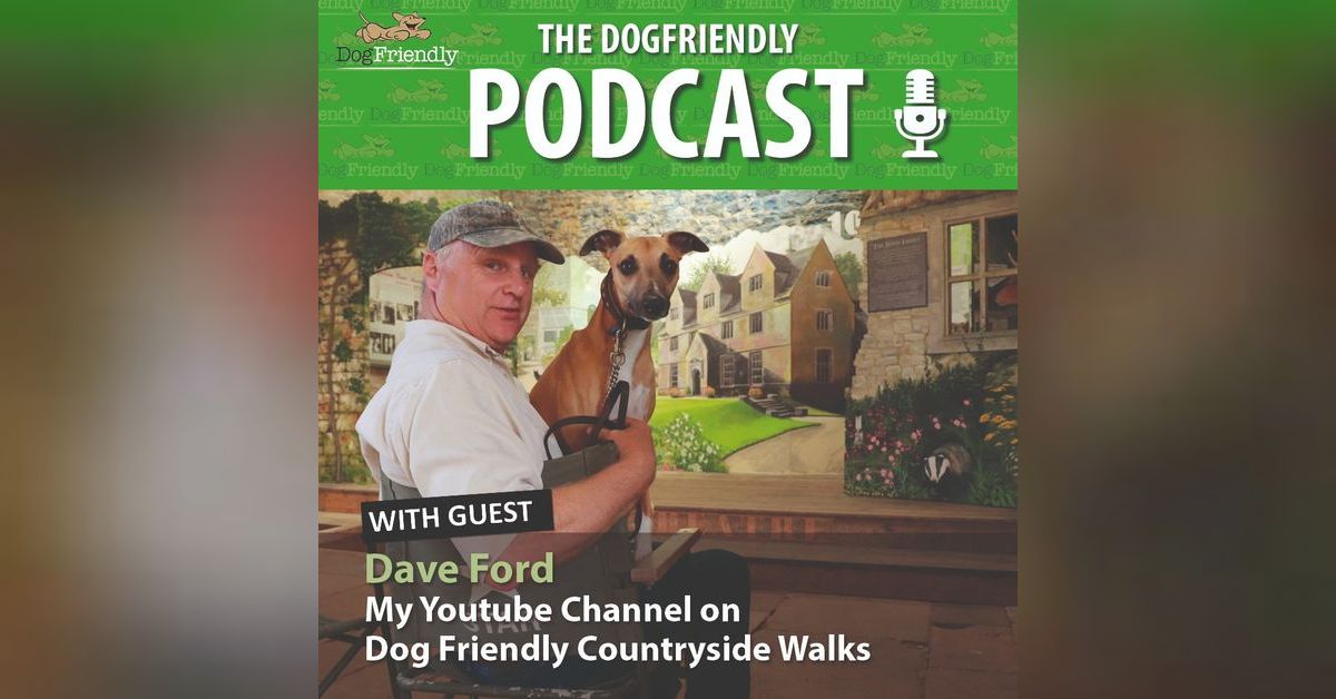 Dave Ford - My Youtube Channel on DogFriendly Countryside Walks | The ...