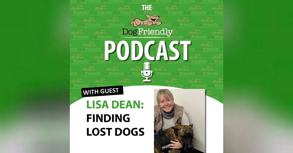 Lisa Dean - Finding Lost Dogs | The DogFriendly Podcast