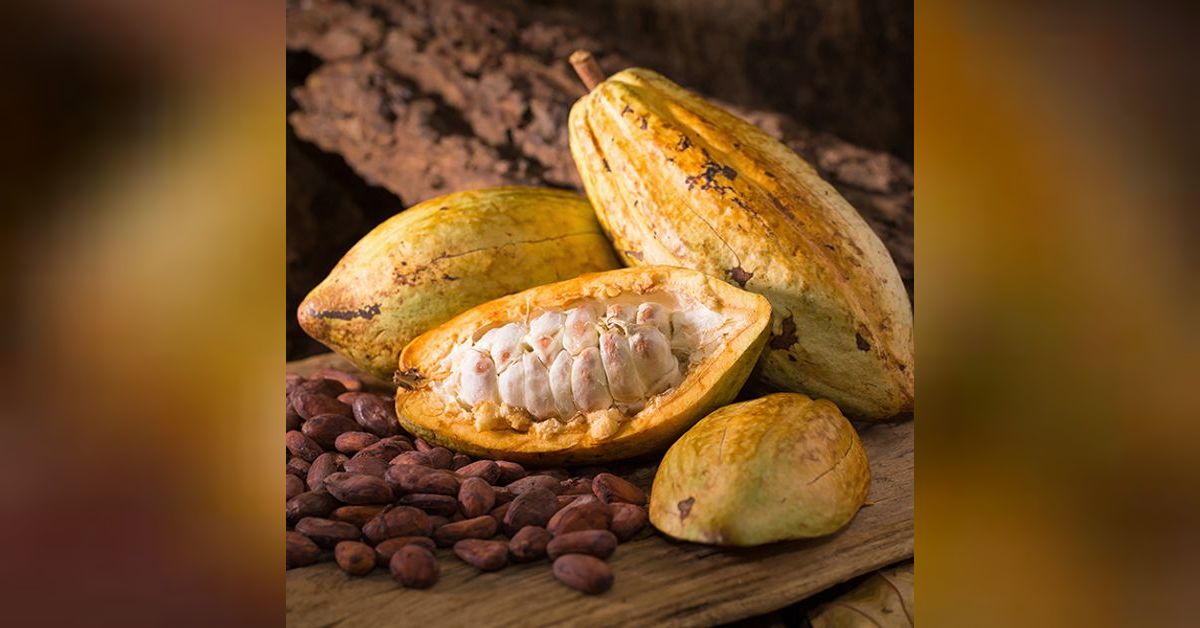 Catching up on the cocoa market | McKeany-Flavell Hot Commodity Podcast