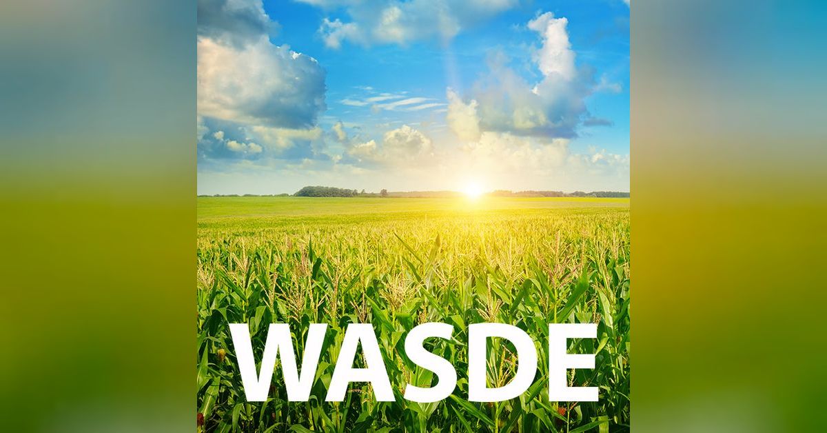June WASDE rundown + sugar negotiations update | McKeany-Flavell Hot ...