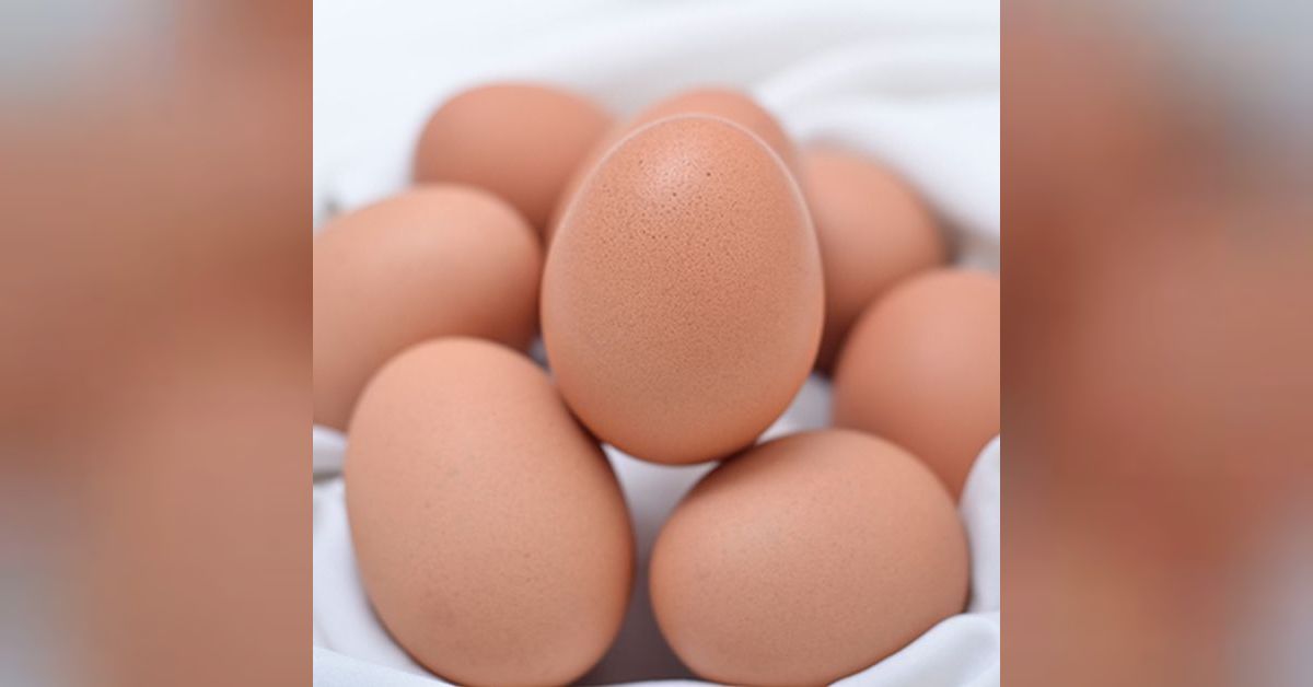 Update on eggs with Brian Moscogiuri of Eggs Unlimited | McKeany ...