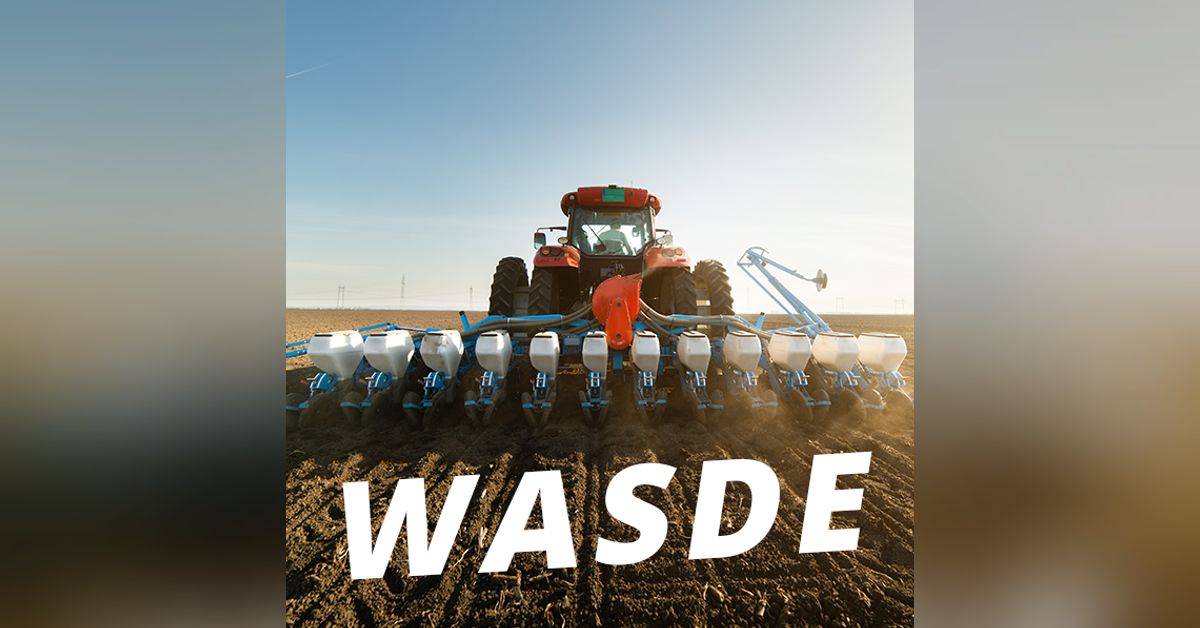 A humdrum April WASDE | McKeany-Flavell Hot Commodity Podcast