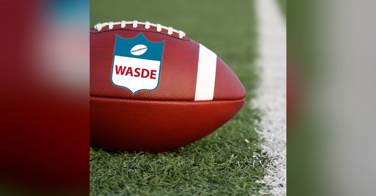 Touchdowns & a few flags called for January WASDE & grain stocks report ...