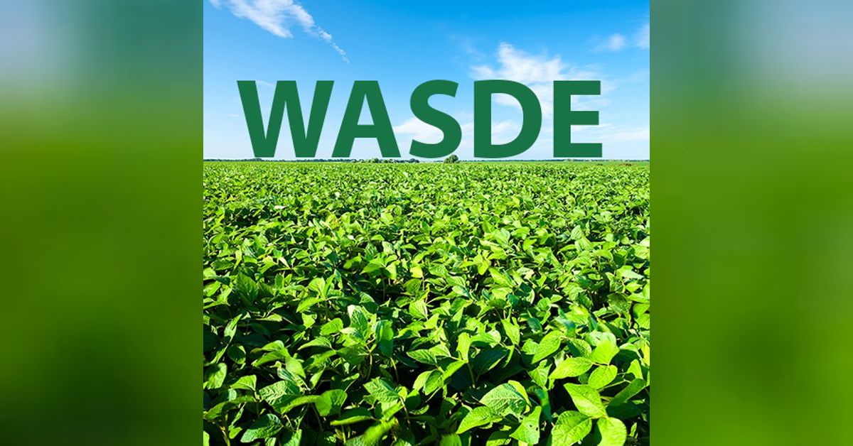 July WASDE: Big buyers, consumption assumptions, & the effects of the ...