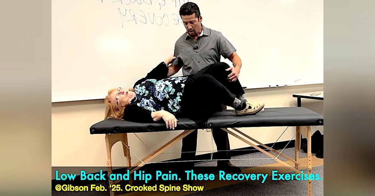 Low Back and Hip Pain? Do these Recovery Exercises. @Gibson Feb. '25 ...