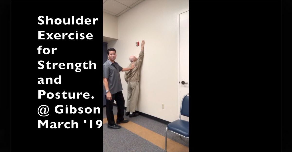 Shoulder Exercises for Pain Relief and Posture. @Gibson March '19 ...