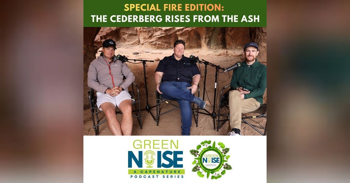 Green Noise Podcast - S4 - Episode 1: SPECIAL FIRE EDITION: The ...