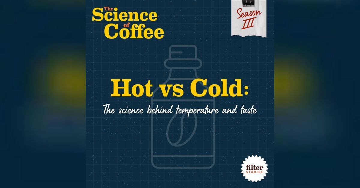 Hot vs Cold: The science behind temperature and taste | Filter Stories ...