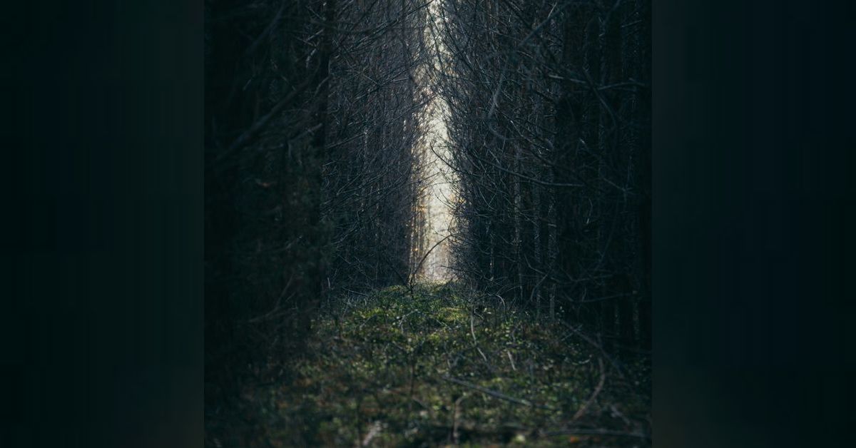 this lonely path | low light mixes