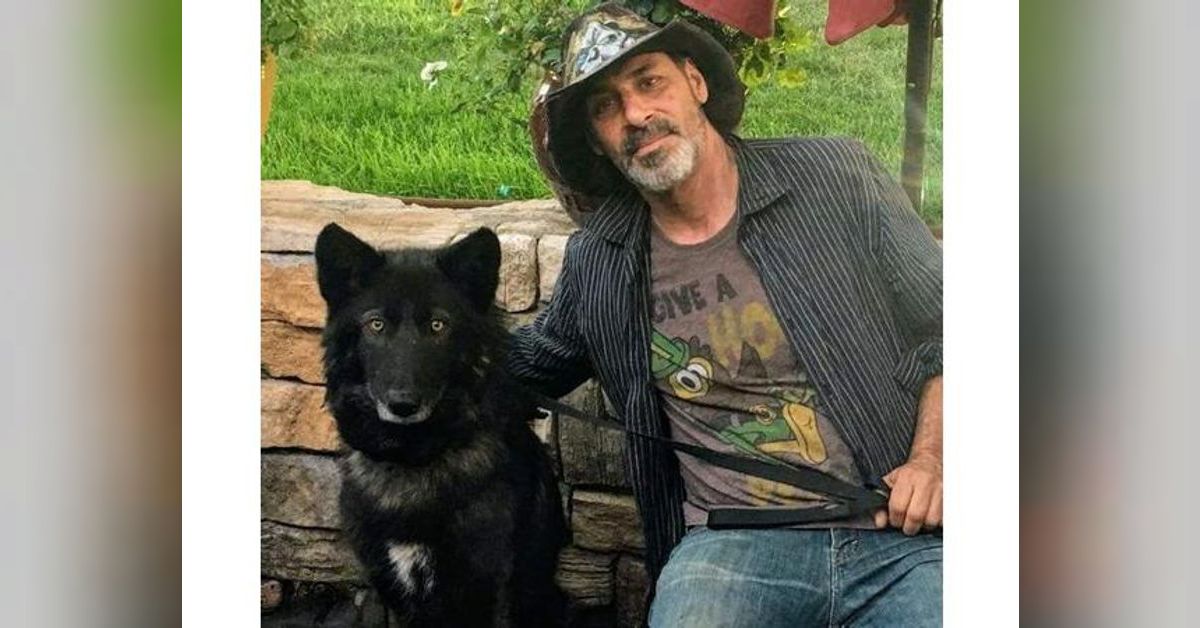 Animal Advocates Radio ”Voices Carry for Animals #202”- Steven Ritt ...
