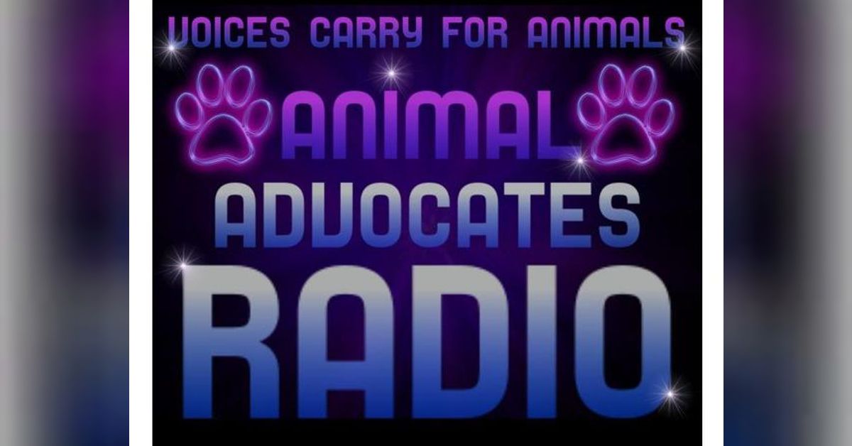 Animal Advocates Radio -“Voices Carry For Animals #361”- All About ...