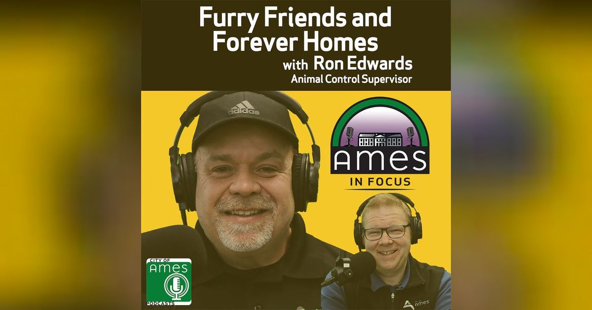 Ames in Focus: Furry Friends and Forever Homes with Ron Edwards | City of Ames’ Podcasts