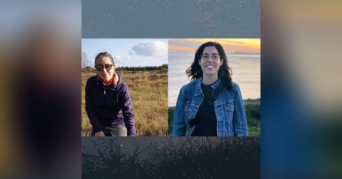 #No.34 Peatlands, Carbon, and the Public Inquiry with Alessandra ...