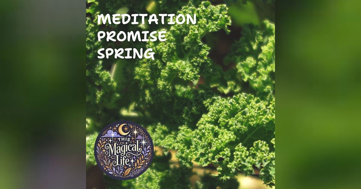 Guided Meditation with Music: on Promise and Hope 🌱 | This Magical Life