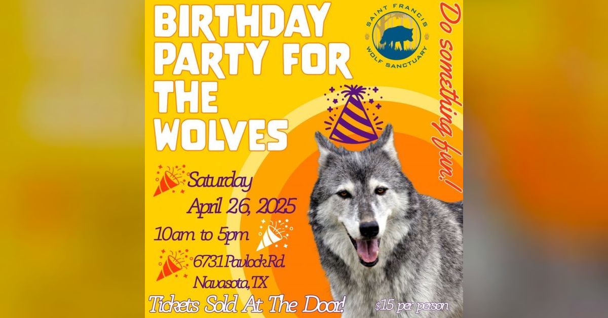Get "Schooled" On ALL Things Wolves AND Celebrate a Birthday Party for ...