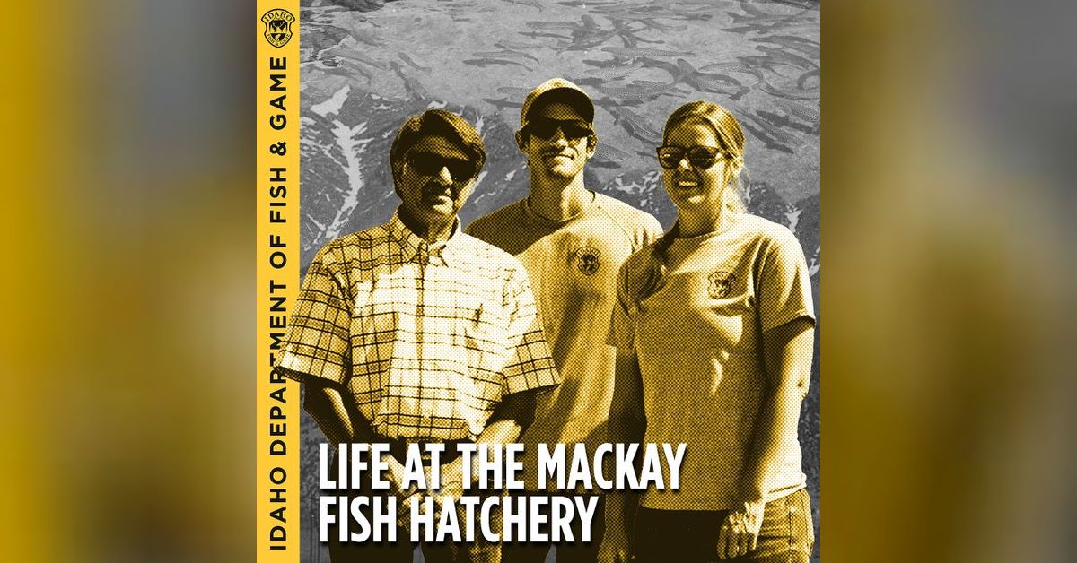 Ep. 7 - Life at the Mackay Fish Hatchery | Shootin’ the Bull