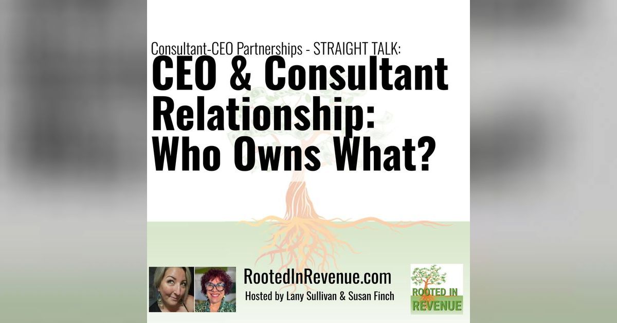 CEO & Consultant Relationships: Who Owns What? | Rooted In Revenue