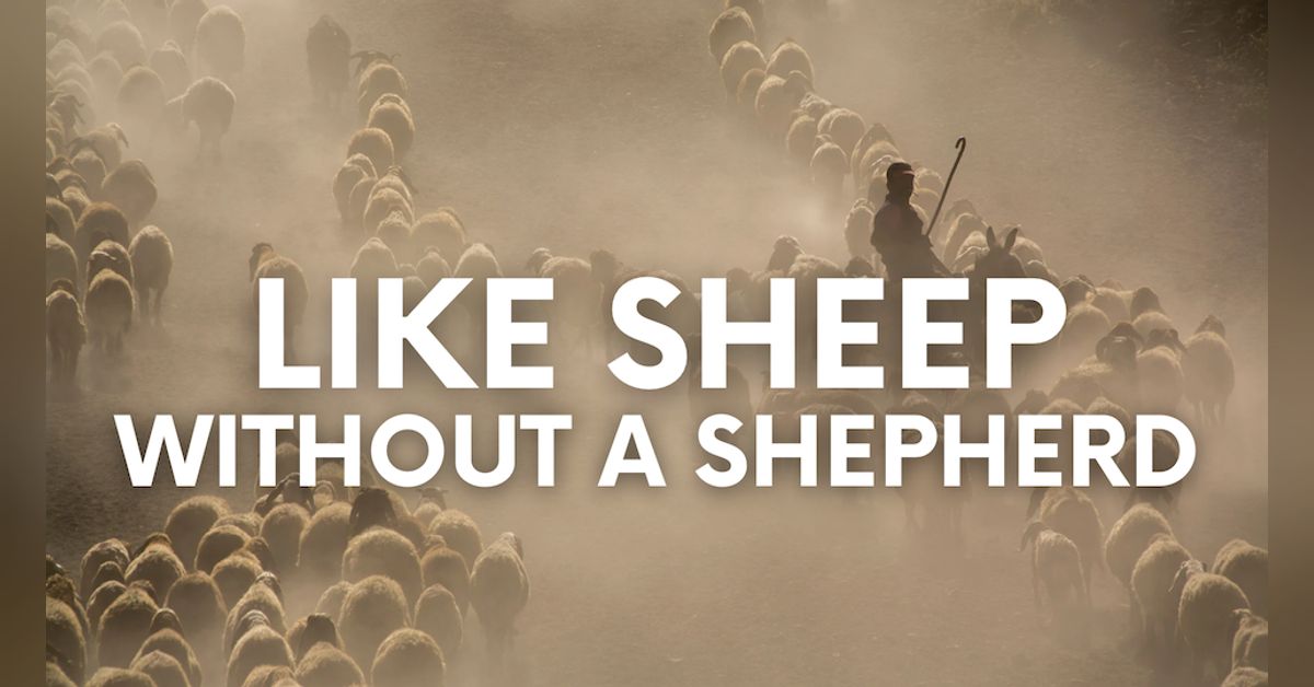 Like Sheep without a Shepherd | Victory World Outreach