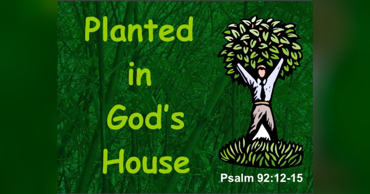 Planted in Gods House | Victory World Outreach