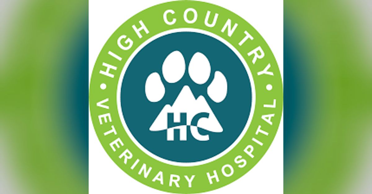Dr. Marissa Sallee, High Country Veterinary Hospital - January 16, 2024 ...