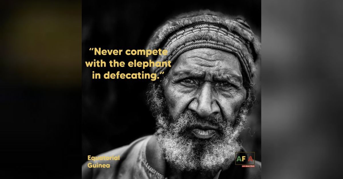Never compete with the elephant in defecating l African Proverbs and ...