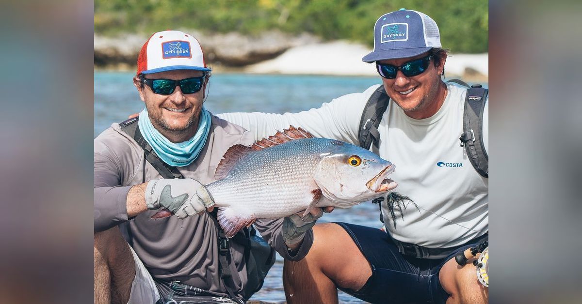 Episode 47 - James Laverty ( Fly Odyssey Australia) | The Intermediate ...