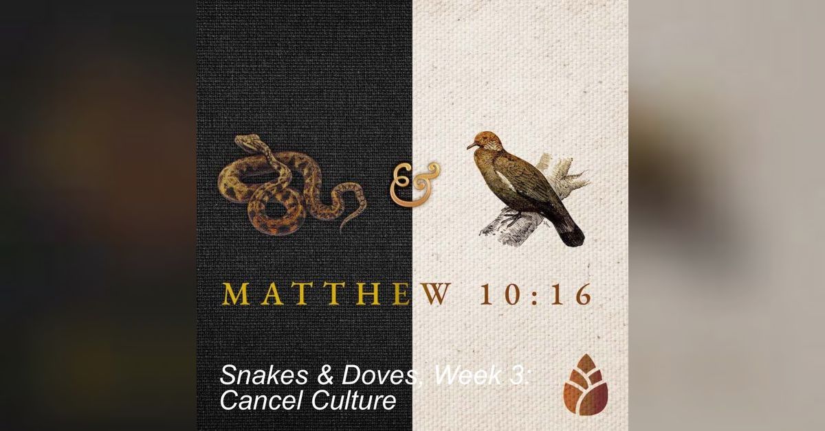 Snakes & Doves, Week 3: Cancel Culture | The Renew Church Canada Podcast