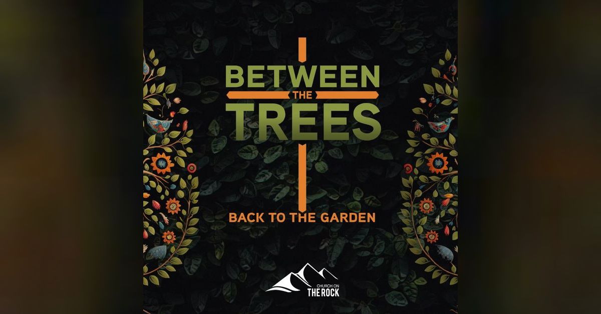 [Wasilla] Between the Trees |1| Palm Sunday :: Jonathan Garland ...