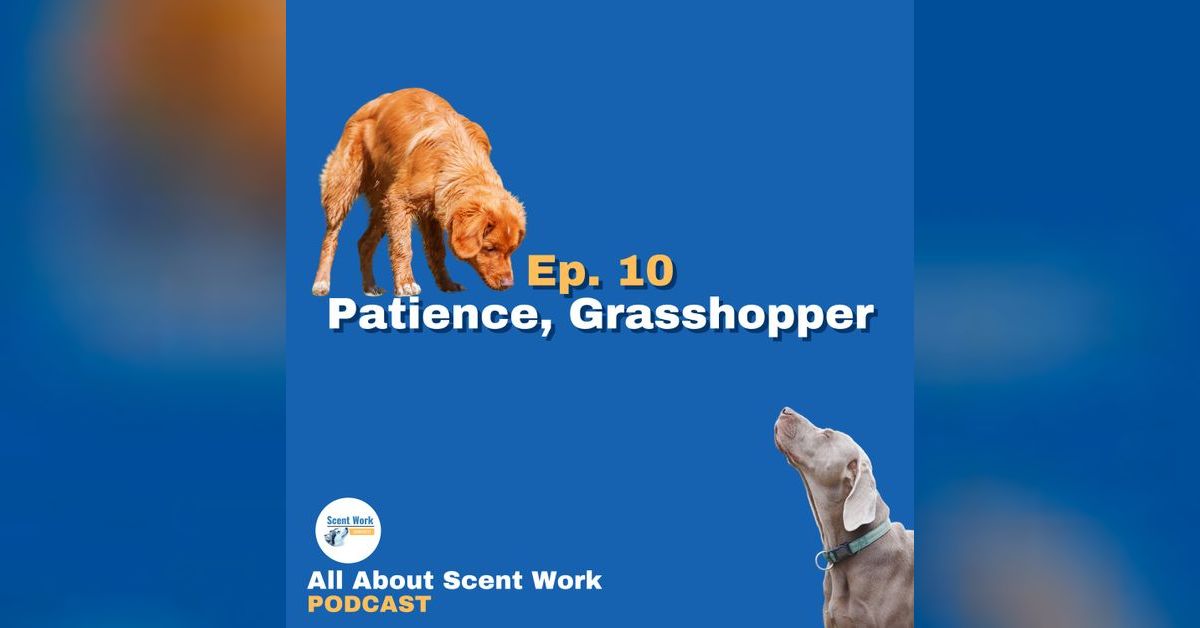 Patience, Grasshopper | All About Scent Work Podcast