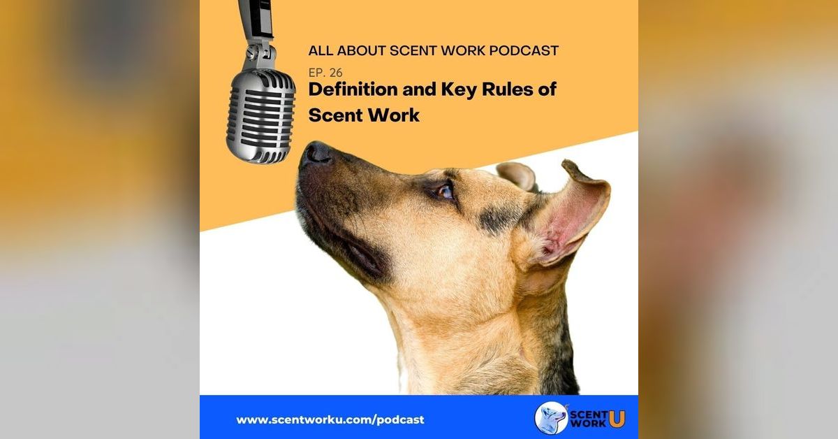 Definition and Key Rules of Scent Work | All About Scent Work Podcast