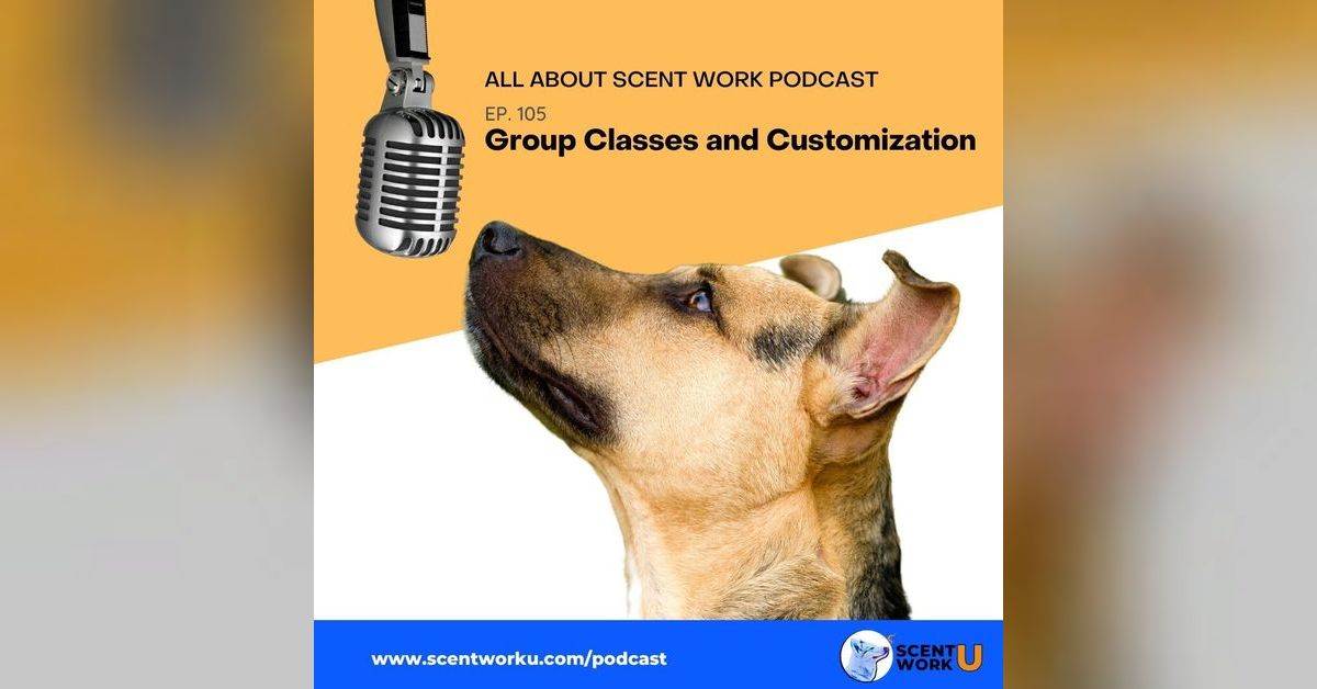 Group Classes and Customization | All About Scent Work Podcast