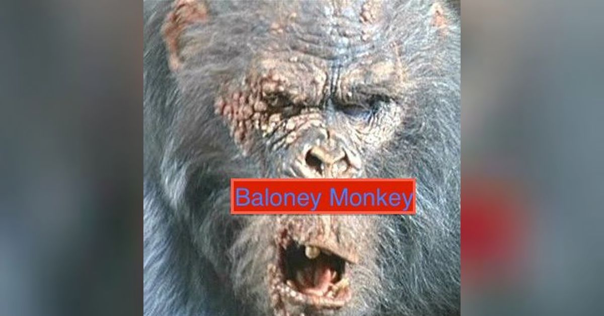 Episode 92 - Amy Good Gorilla | The Hidden Zoo