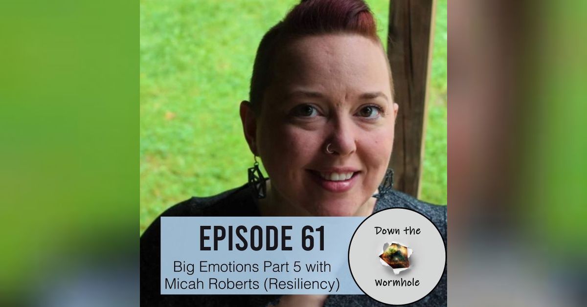 Big Emotions Part 5 with Micah Roberts (Resiliency) | Down the Wormhole