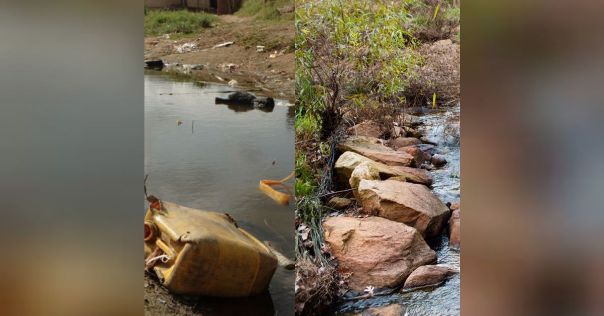 Veteran Given 4 Months to Live Transforms Polluted Creek – and Gets 27 ...