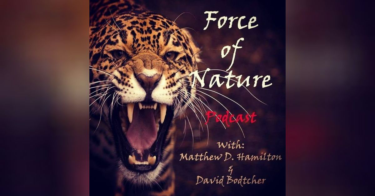 Ep. 49: Shark Attack Report and the Tale of the USS Indianapolis ...