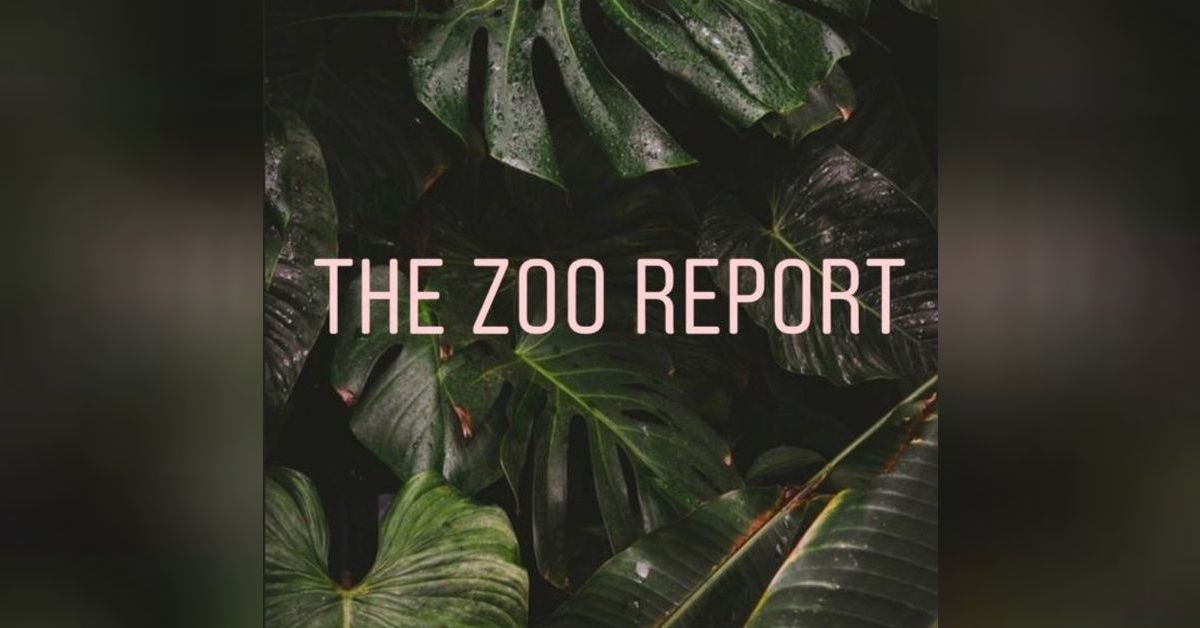 The Zoo Report: Jonathan Kermah on being co-editor in chief of Amherst ...