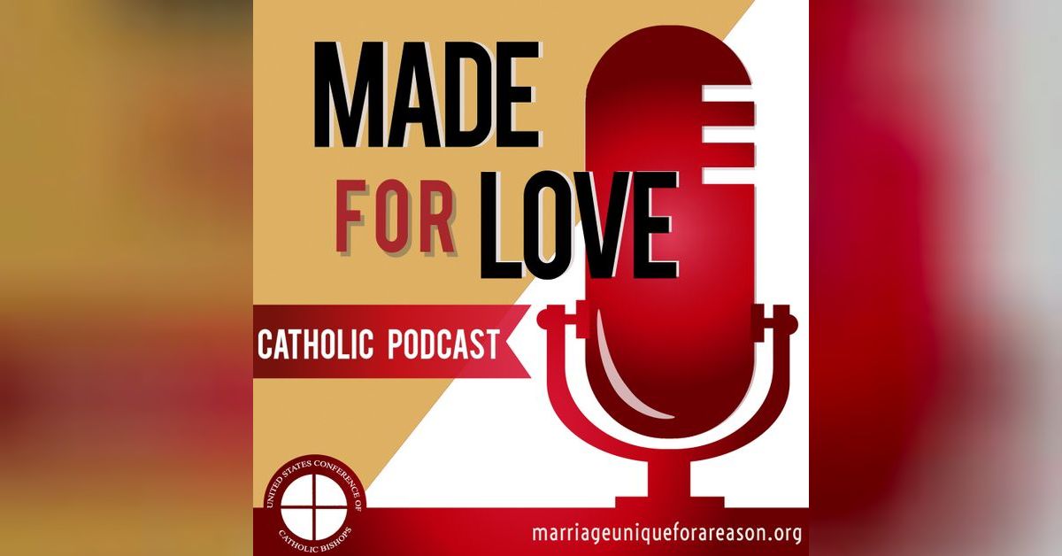 Ep 15: Humanae Vitae 50 Years Later: Part 1 | Love Means More