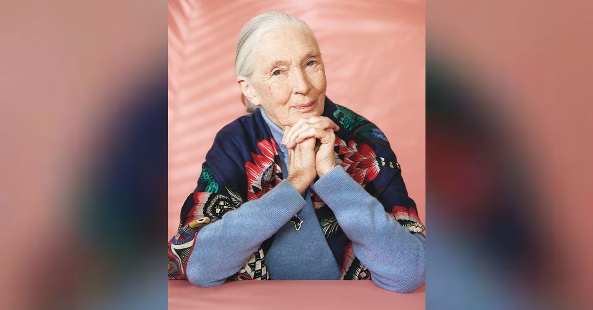 Remembering Dr. Jane | Life 2.0
