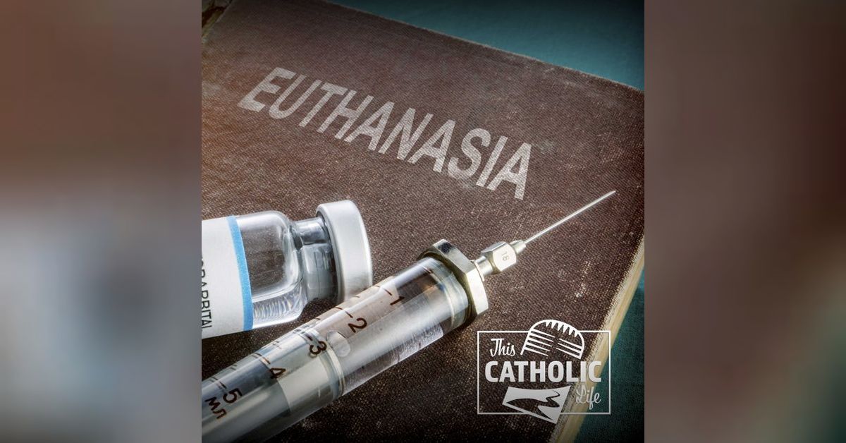Euthanasia | This Catholic Life Podcast