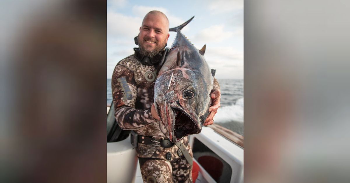 This Ocean Life, Episode 20 - Kyle Faust and Helping Others in the ...
