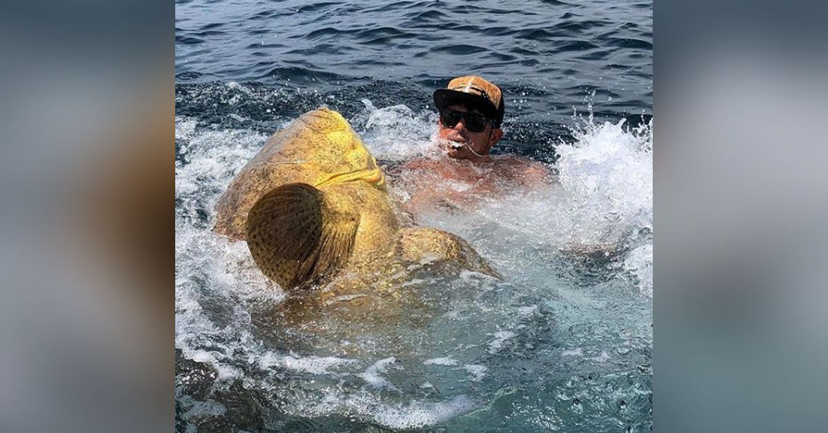 This Ocean Life, Episode 11 - James Marko and Goliath Groupers | This ...