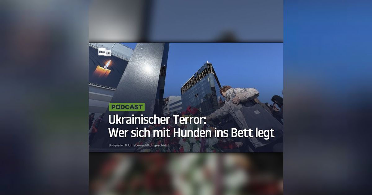 Ukrainischer Terror: Wer sich mit Hunden ins Bett legt | RT DE