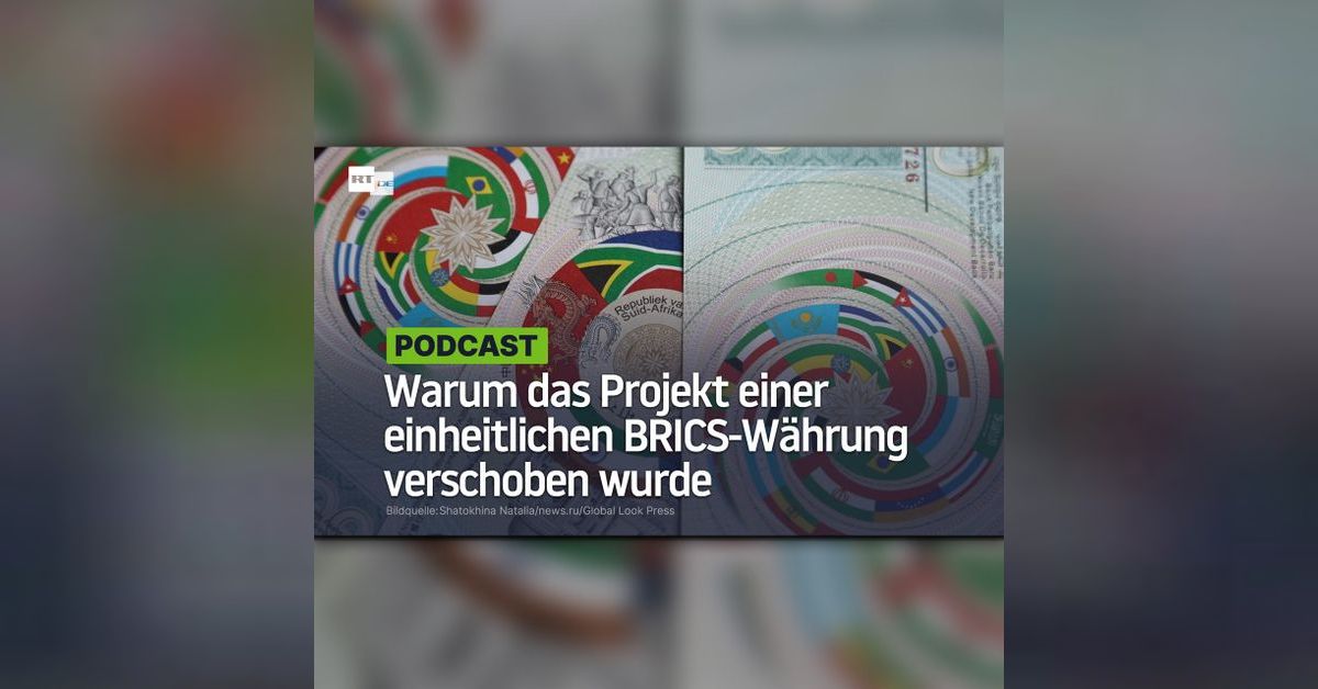 Warum das Projekt einer einheitlichen BRICS-Währung verschoben wurde ...