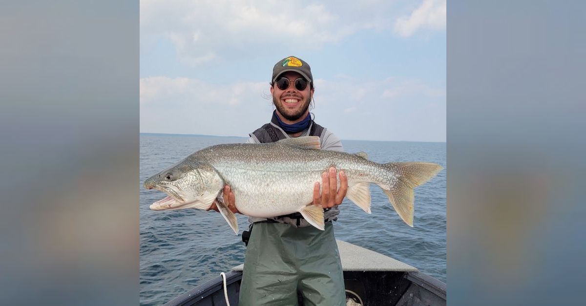 222 - Brook Trout Embryo Survival and Reflex Impairment of Lake Trout ...