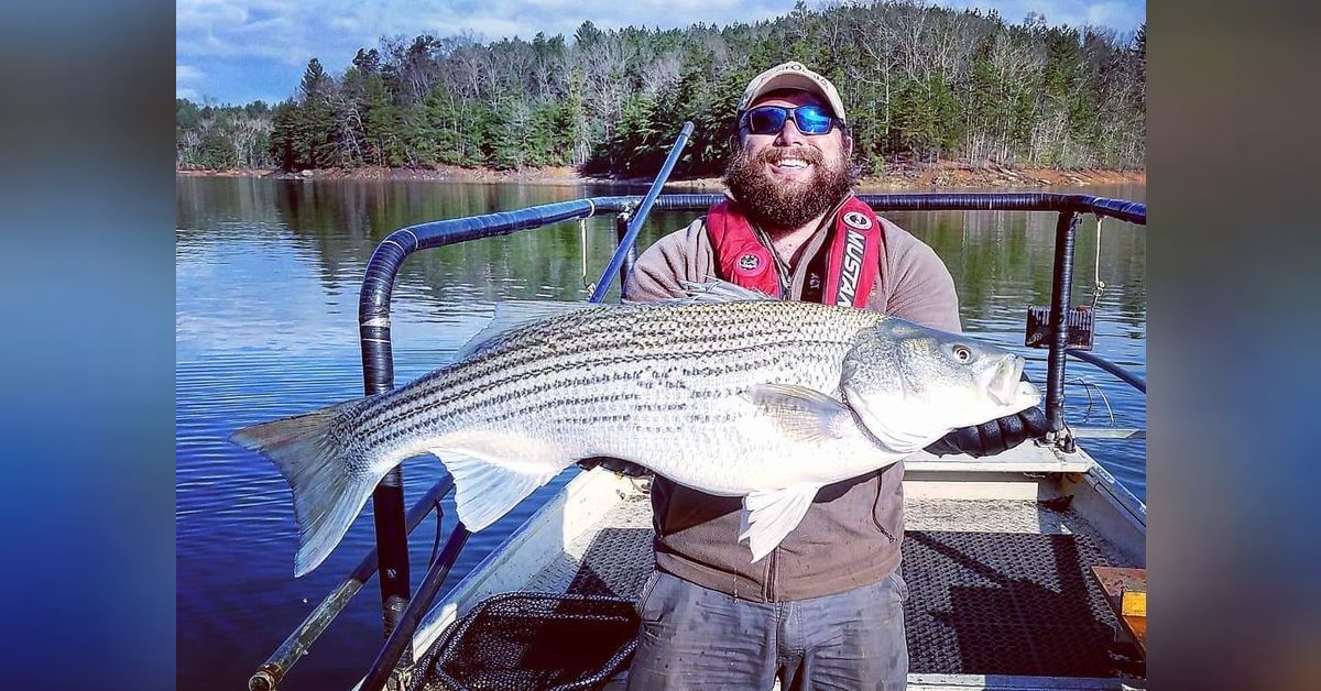 144 - All About Blue Catfish and Alligator Gar Ecology with Zach Moran ...