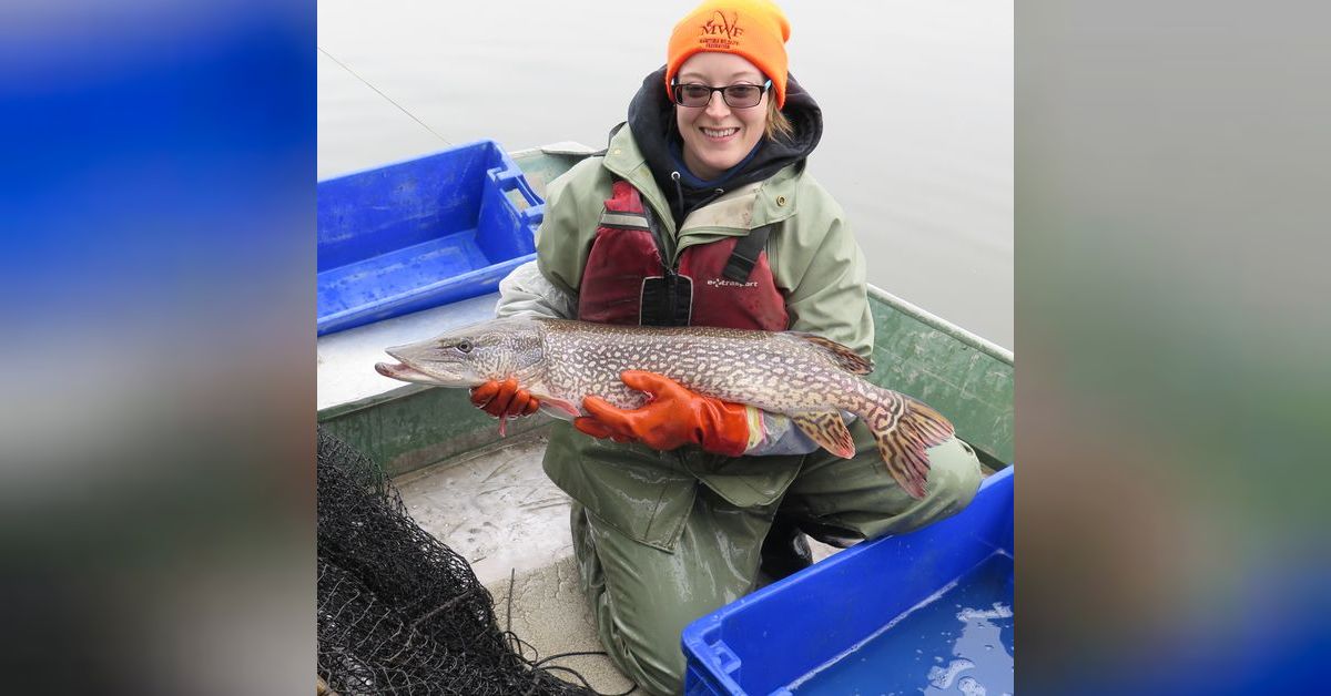 286 - Protecting Wetlands and Native Fishes from Common Carp at Delta ...