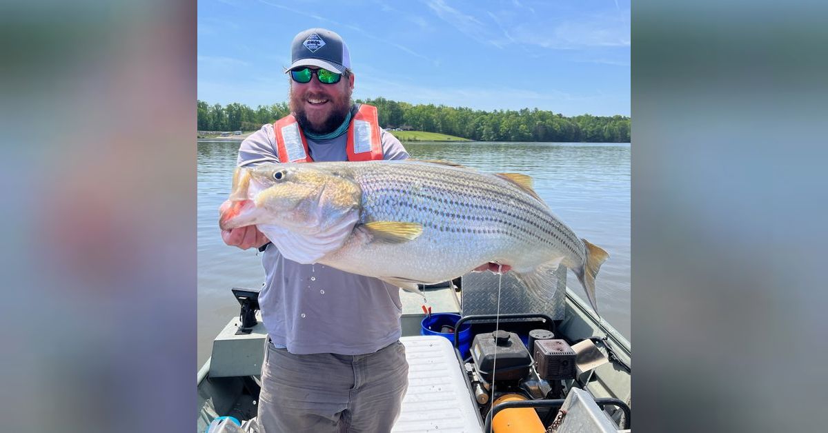 255 - Smallmouth Bass movement and North Carolina fisheries with Seth ...