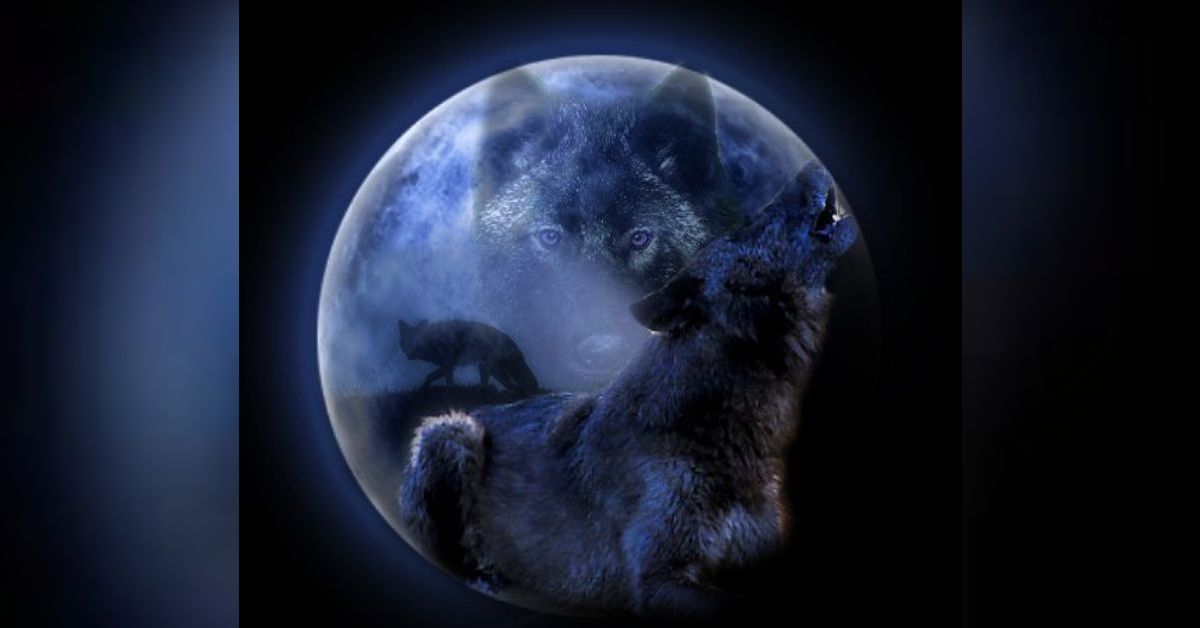 Full Moon January 2020 Wolf Moon Ritual Ideas and information. | Urban ...